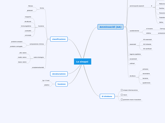Le proteine - Mind Map